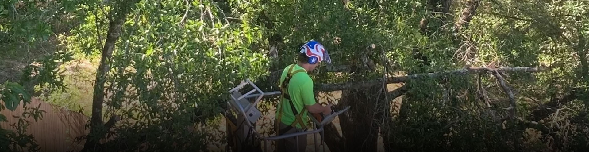 Our Company | Laird Tree Service