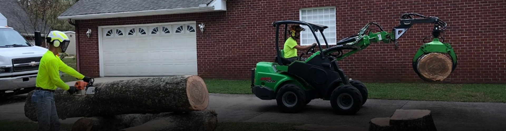 Blog | Laird Tree Service